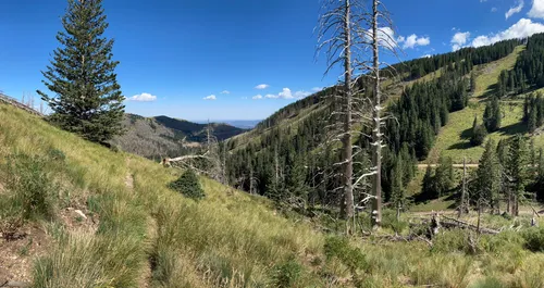 10 Best Trails and Hikes in Ruidoso | AllTrails