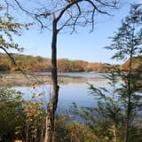 Berry Pond Trail, Massachusetts - 70 Reviews, Map | AllTrails