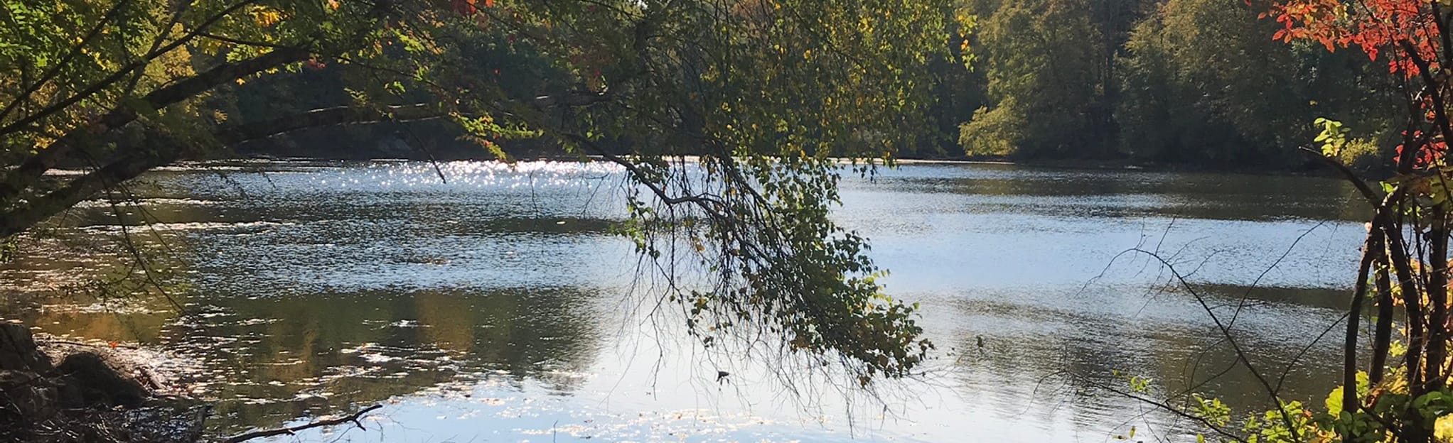 Tarrywile Park Trail, Connecticut - 562 Reviews, Map | AllTrails