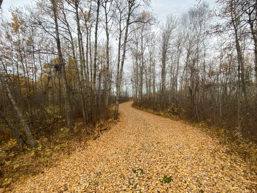 2023 Best Walking Trails in Strathcona County | AllTrails