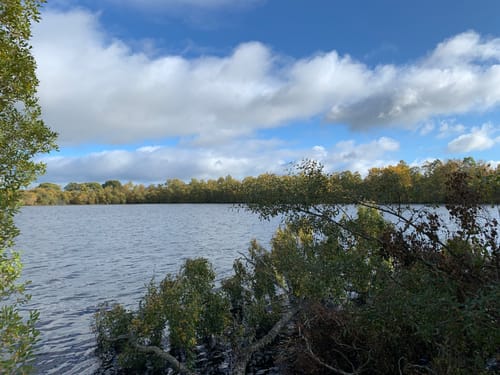 Best Hikes and Trails in Muir of Dinnet National Nature Reserve | AllTrails