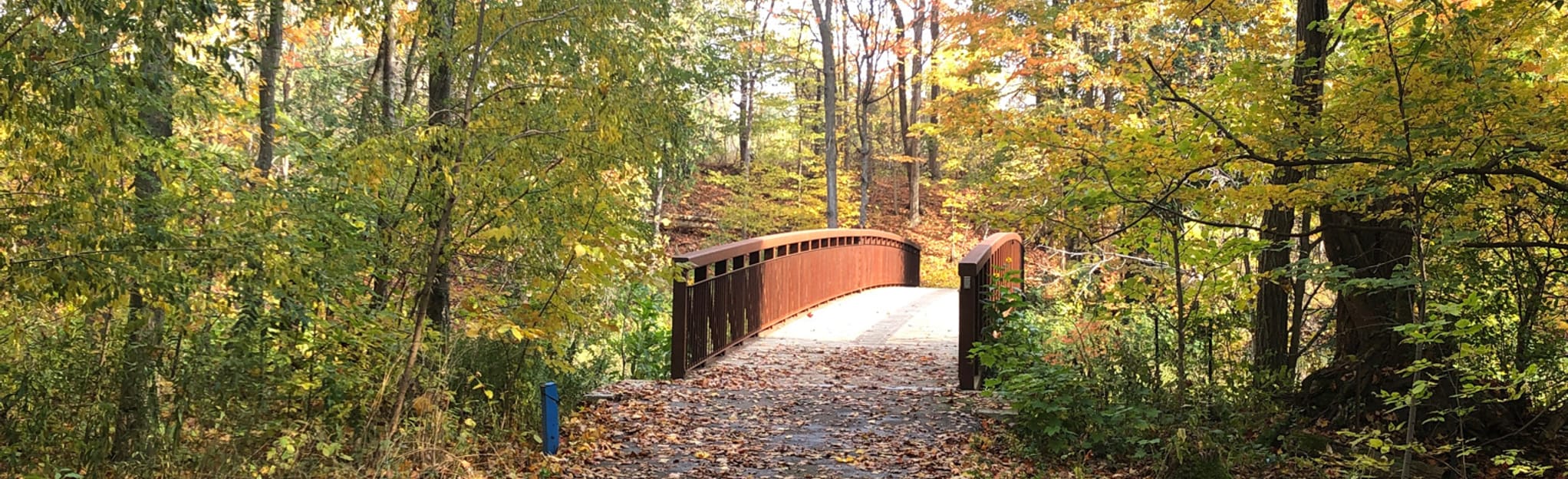 Monarch Trail Cycling Route, Ontario, Canada - 47 Reviews, Map | AllTrails