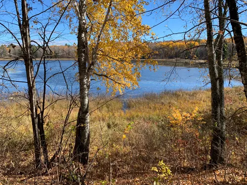 Best Lake Trails in Akeley | AllTrails