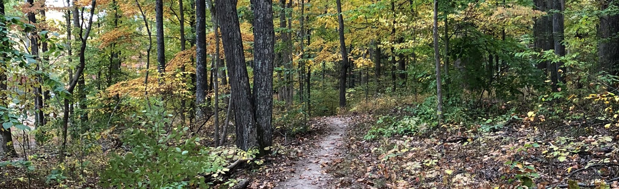 Whitetail and Blue Bird Loop | Map, Guide - Indiana | AllTrails