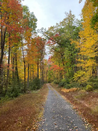 Best Hikes and Trails in Bear Meadows Natural Area | AllTrails