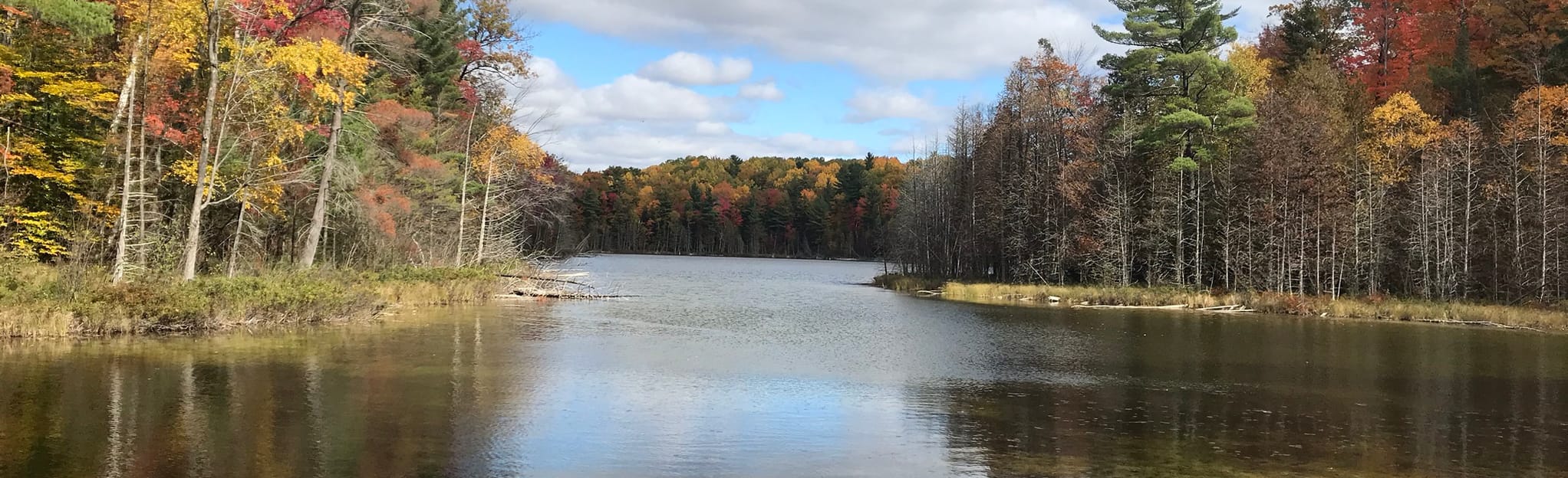Ransom Lake Loop, Michigan - 249 Reviews, Map | AllTrails