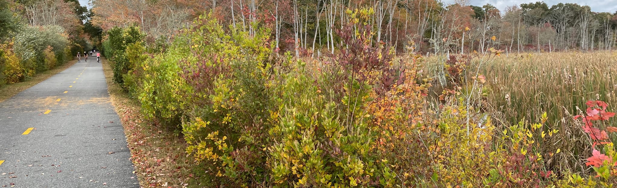 South County Bike Path, Rhode Island - 646 Reviews, Map | AllTrails