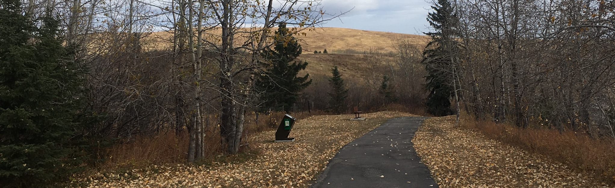 Friendship Trail, Alberta, Canada - 165 Reviews, Map | AllTrails