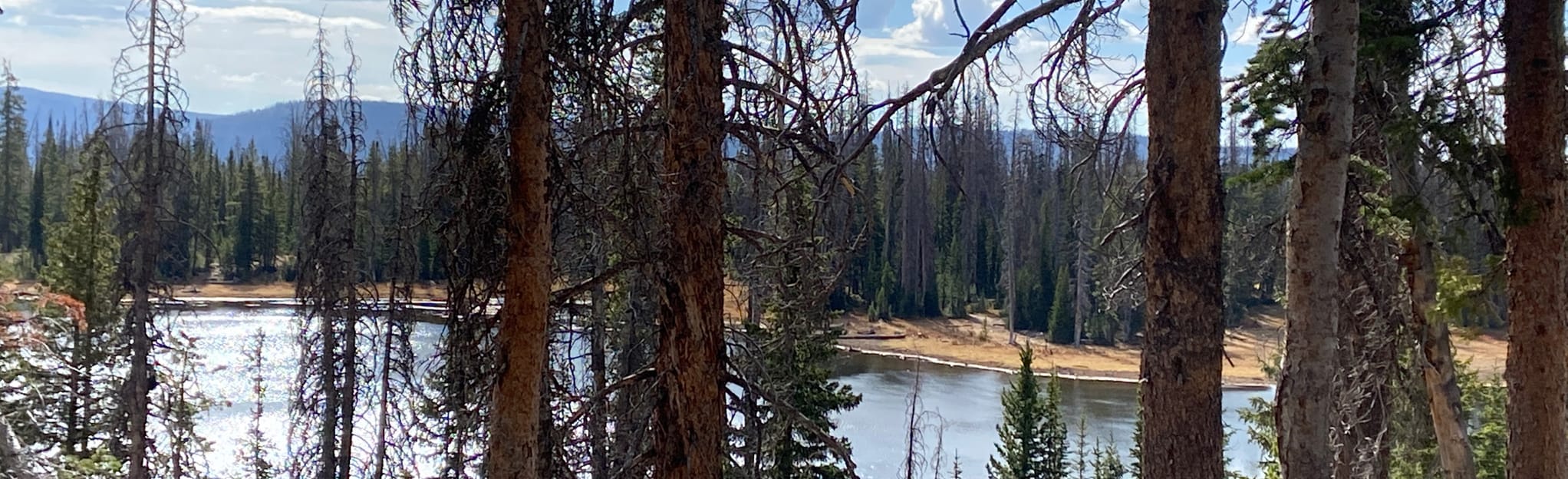Island Lake Trail, Utah - 512 Reviews, Map | AllTrails