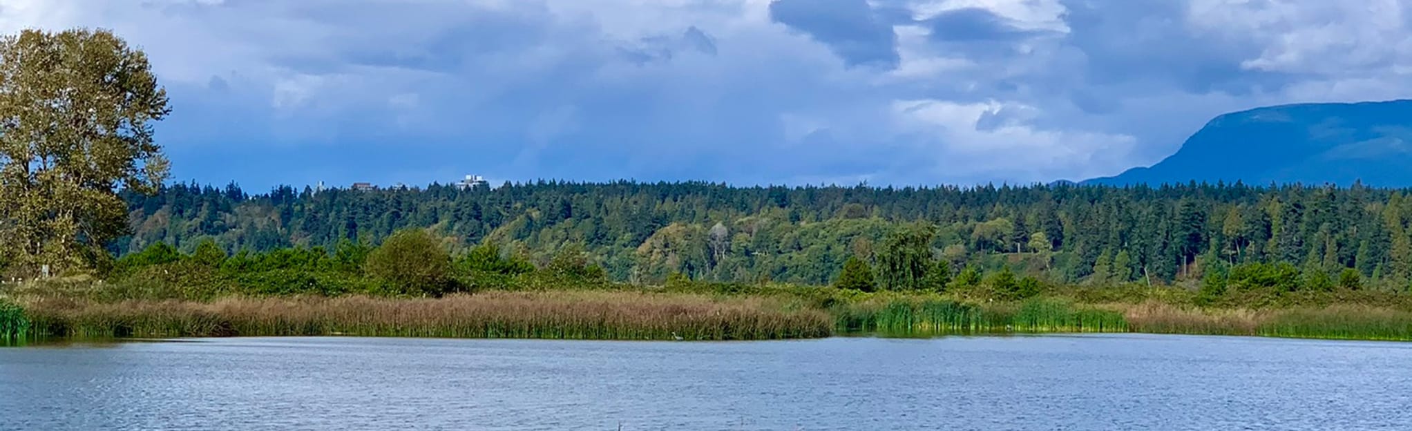 Iona Lagoon: 16 Reviews, Map - British Columbia, Canada | AllTrails