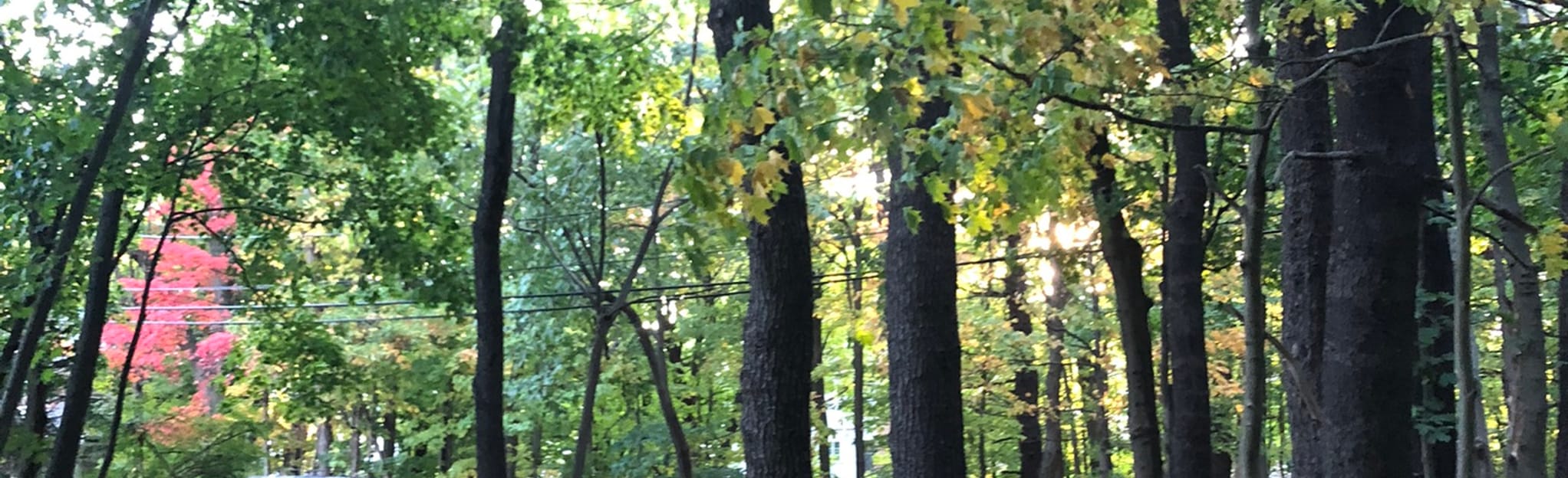 Cochituate Aqueduct Trail, Massachusetts - 34 Reviews, Map | AllTrails