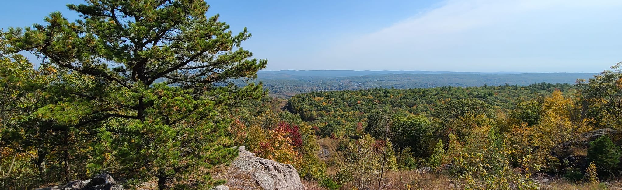 Terrace Pond Blue Loop: 199 Reviews, Map - New Jersey | AllTrails