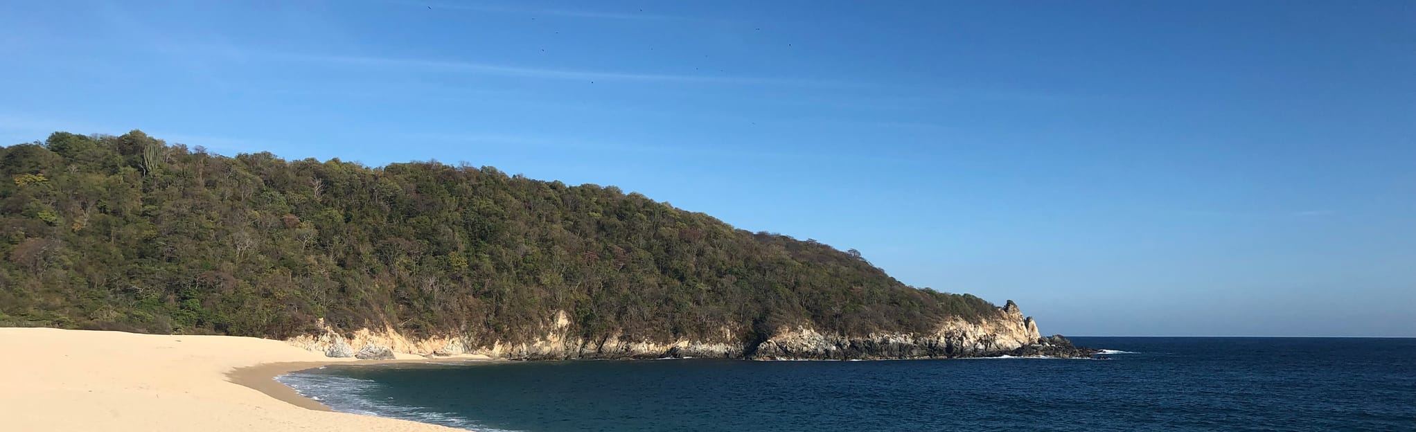 Playa Cacaluta: 8 Reviews, Map - Oaxaca, Mexico | AllTrails