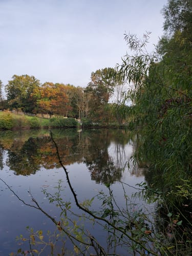 Best Hikes and Trails in East Fallowfield Township Park | AllTrails