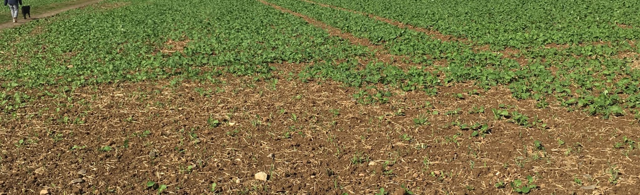 Eschborn - Arboretum Main-Taunus - Steinbach, Hesse, Germany - 3 ...