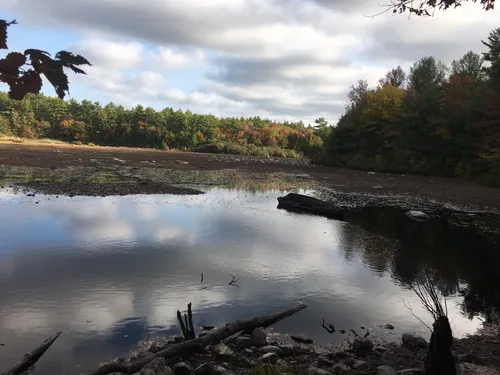 10 Best Hikes and Trails in Freetown Fall River State Forest | AllTrails