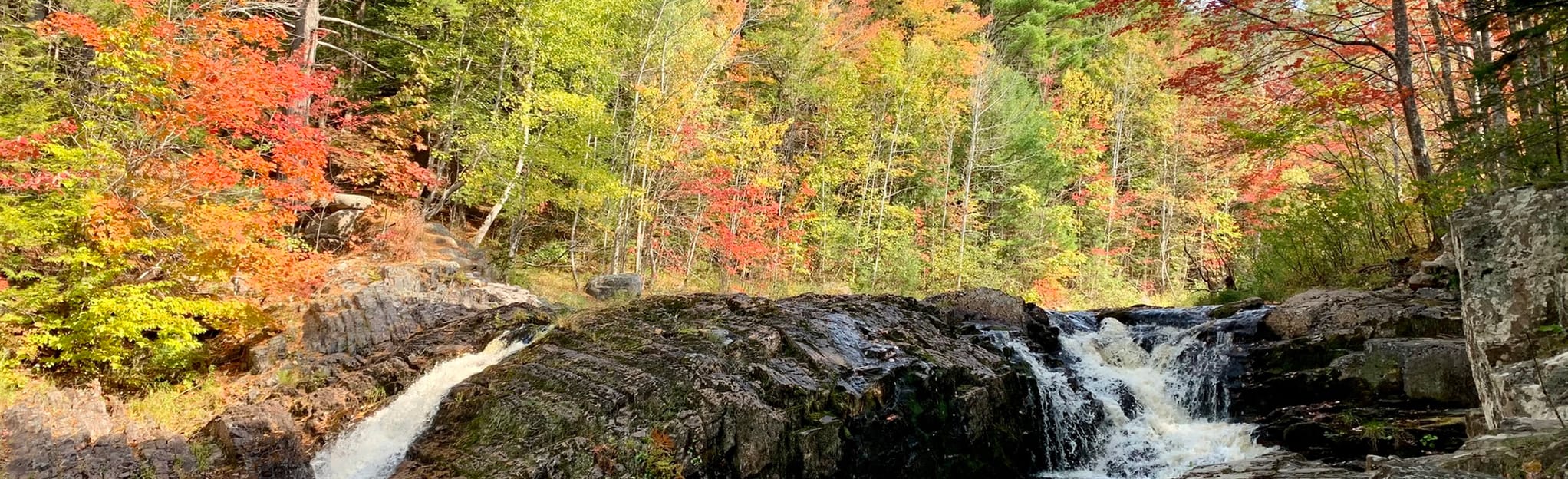 McMaster Mill Historical Park Loop - Nova Scotia, Canada | AllTrails