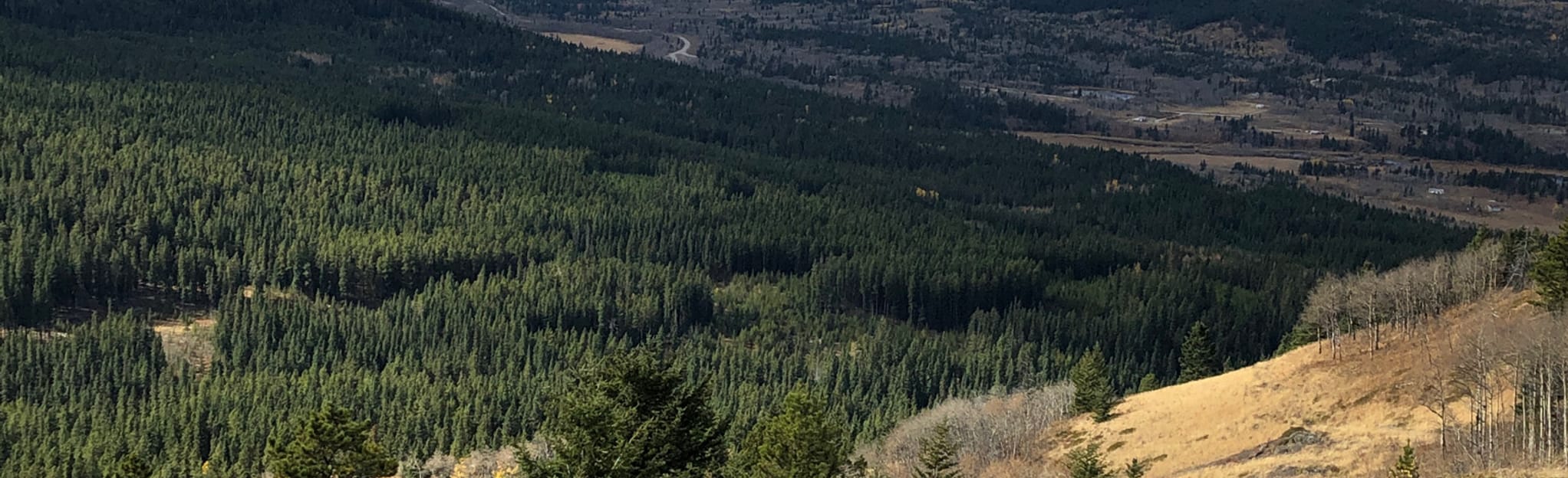 Eagle Hill Trail and Deer Ridge Trail Loop: 713 Fotos - Alberta, Canadá ...