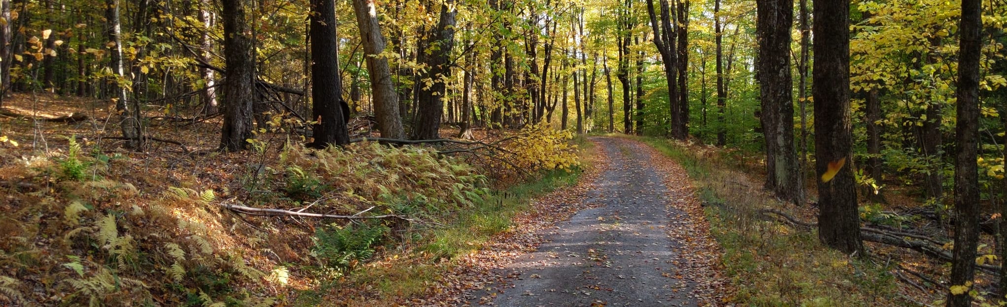 Mallet Pond to Fulton Hill, New York - 24 Reviews, Map | AllTrails