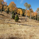 Crystal Springs Loop, Utah - 126 Reviews, Map | AllTrails