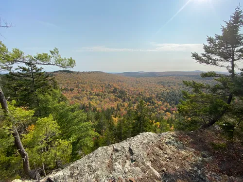 Best Hikes and Trails in Amherst Mountains Community Forest | AllTrails