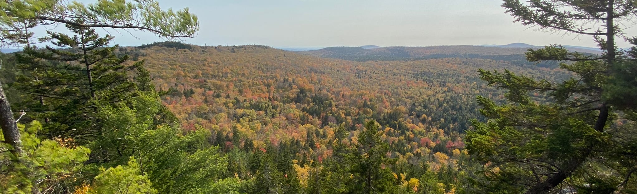 Bald Bluff Mountain Trail - Maine | AllTrails