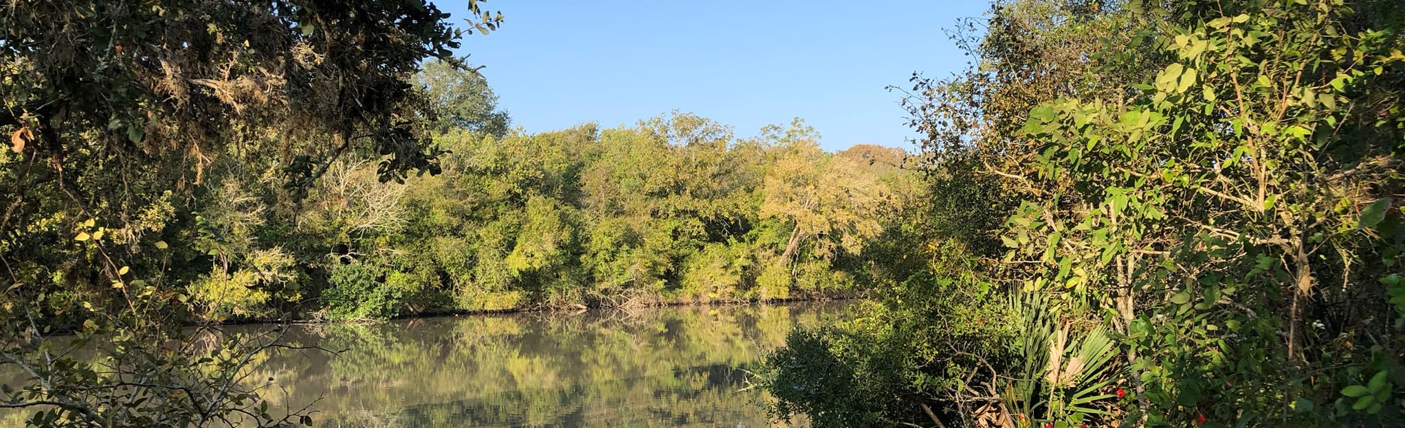 Oxbow Lake Trail: 151 foto's - Texas | AllTrails