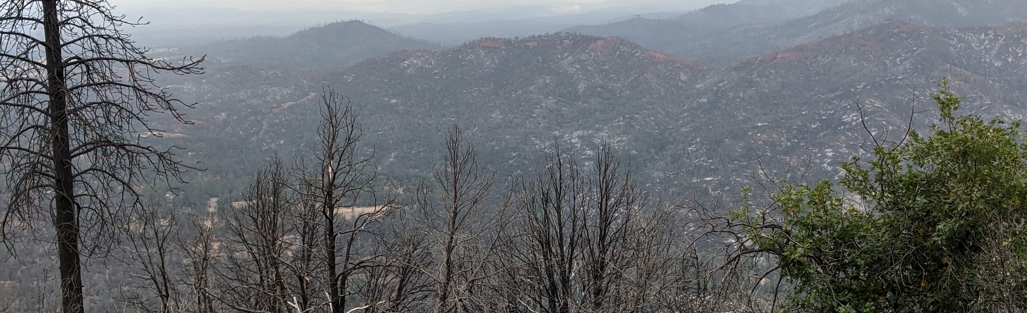 Mule Mountain Loop and Escalator Trail, California - 59 Reviews, Map ...