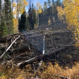 Crystal Springs Loop, Utah - 126 Reviews, Map | AllTrails