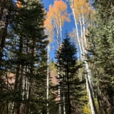Crystal Springs Loop, Utah - 126 Reviews, Map | AllTrails