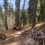 Crystal Springs Loop, Utah - 126 Reviews, Map | AllTrails