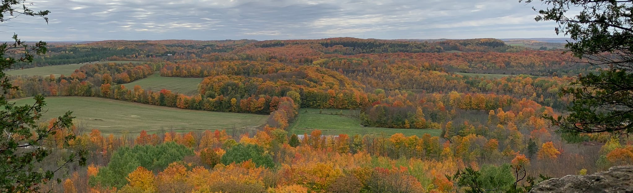 Metcalfe Rock Side Trail Loop, Ontario, Canada - 298 Reviews, Map ...