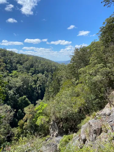 10 Best Trails and Hikes in Mount Glorious | AllTrails