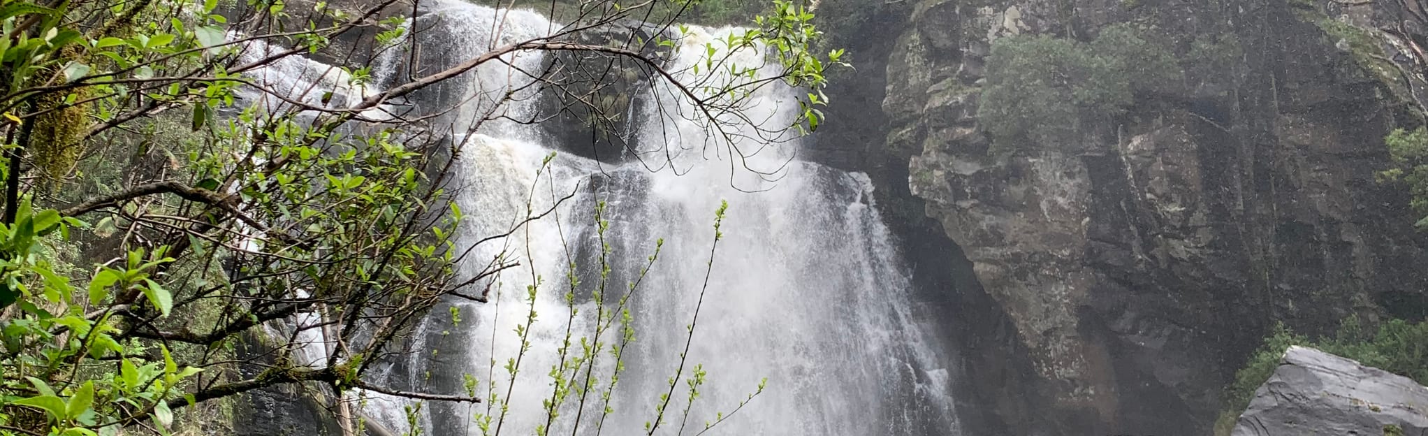 Stevenson’s Falls: 29 Reviews, Map - Victoria, Australia | AllTrails