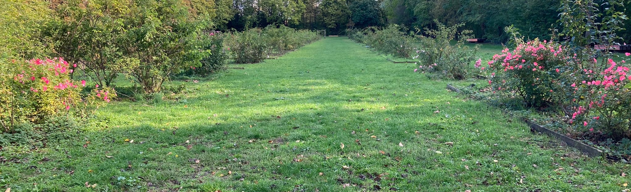 Le Parc des Lilas: 10 Reviews, Map - Val-de-Marne, France | AllTrails