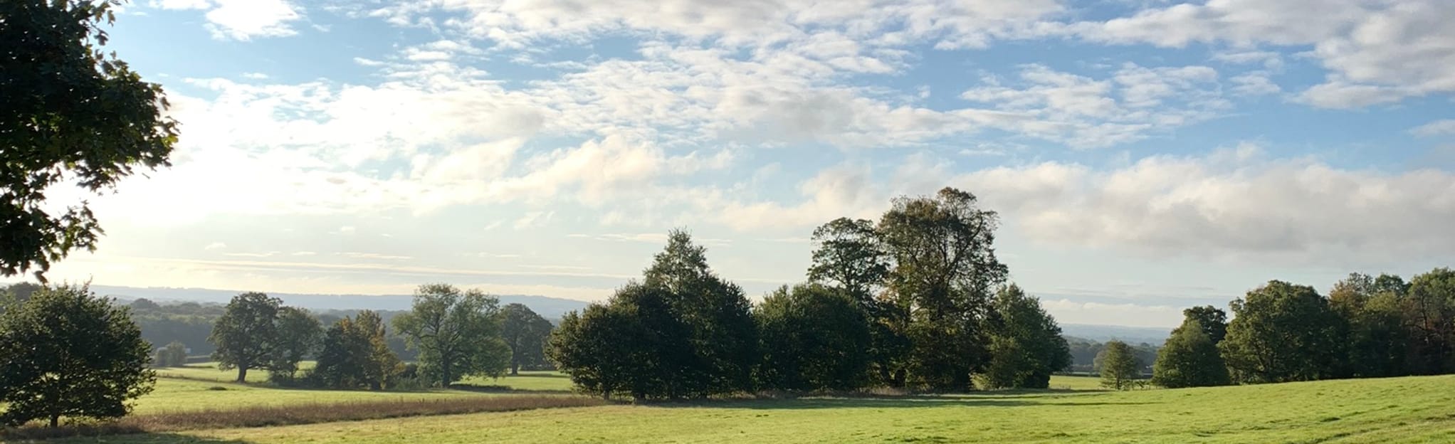 The Haycutter Oxted Circular: 240 Reviews, Map - Surrey, England ...