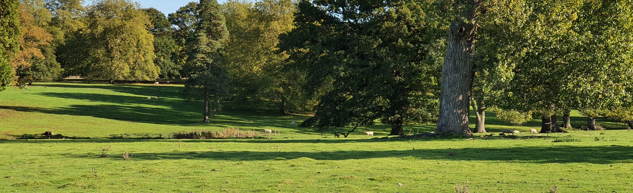 South Rauceby and Rauceby Hall Circular, Lincolnshire, England - 85 ...