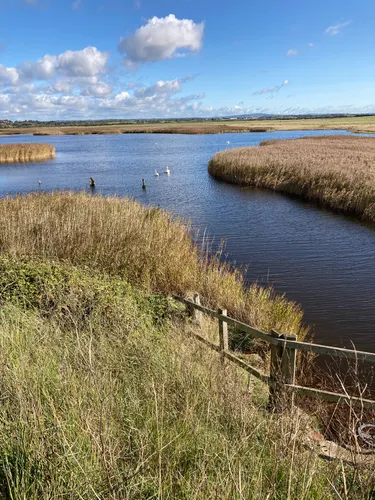 Best Hikes and Trails in Farlington Marshes Nature Reserve | AllTrails