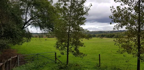 10 Best City Walk Trails in Surrey Hills National Landscape (AONB ...