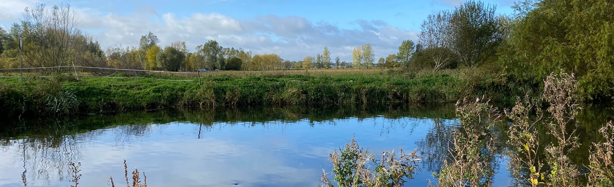 The Wherry Inn River and Heritage Walk: 41 foto's - Norfolk, Engeland ...