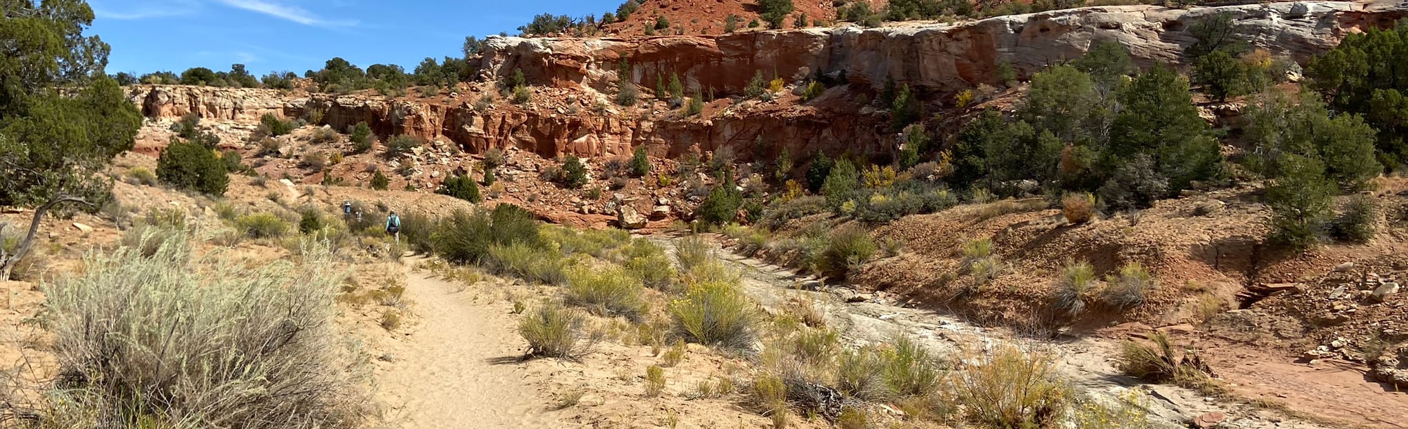 Zebra Canyon, Utah - 1,351 Reviews, Map | AllTrails