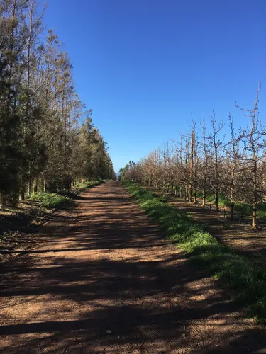 Best Hikes and Trails in Grabouw | AllTrails