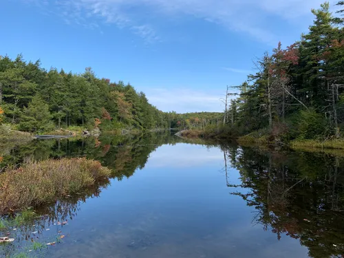 Best Hikes and Trails in Mount Everett State Reservation | AllTrails