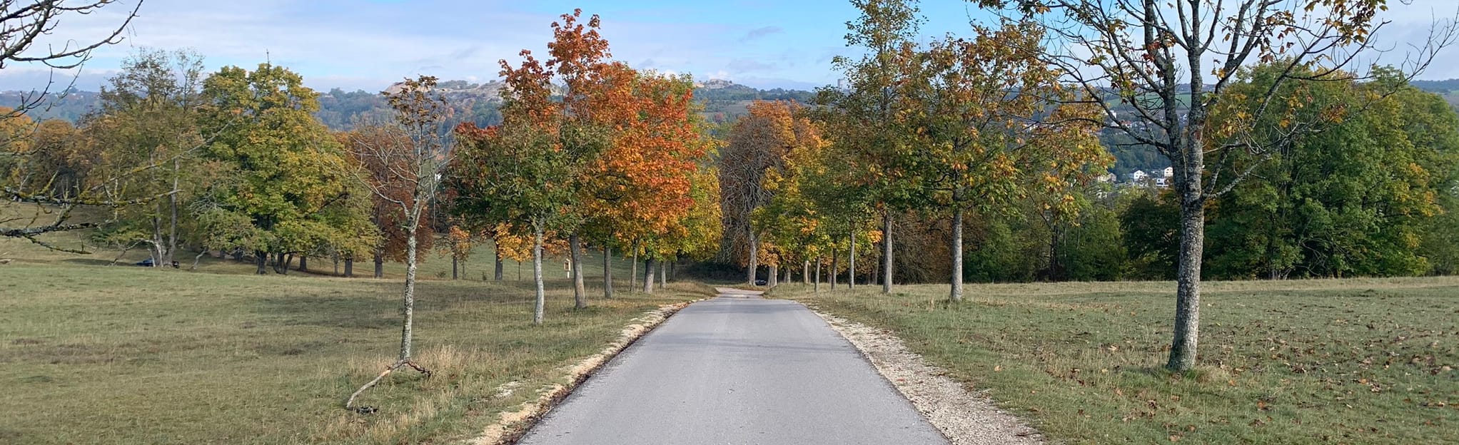 Rundwanderweg Eichstätt Nr. 1 - Beieren, Duitsland | Wandelen - AllTrails