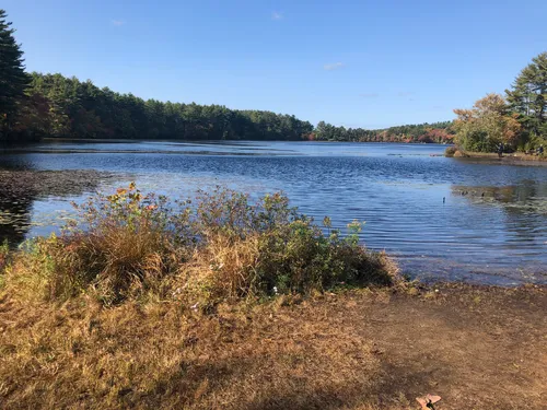 10 Best Hikes and Trails in Arcadia State Management Area | AllTrails