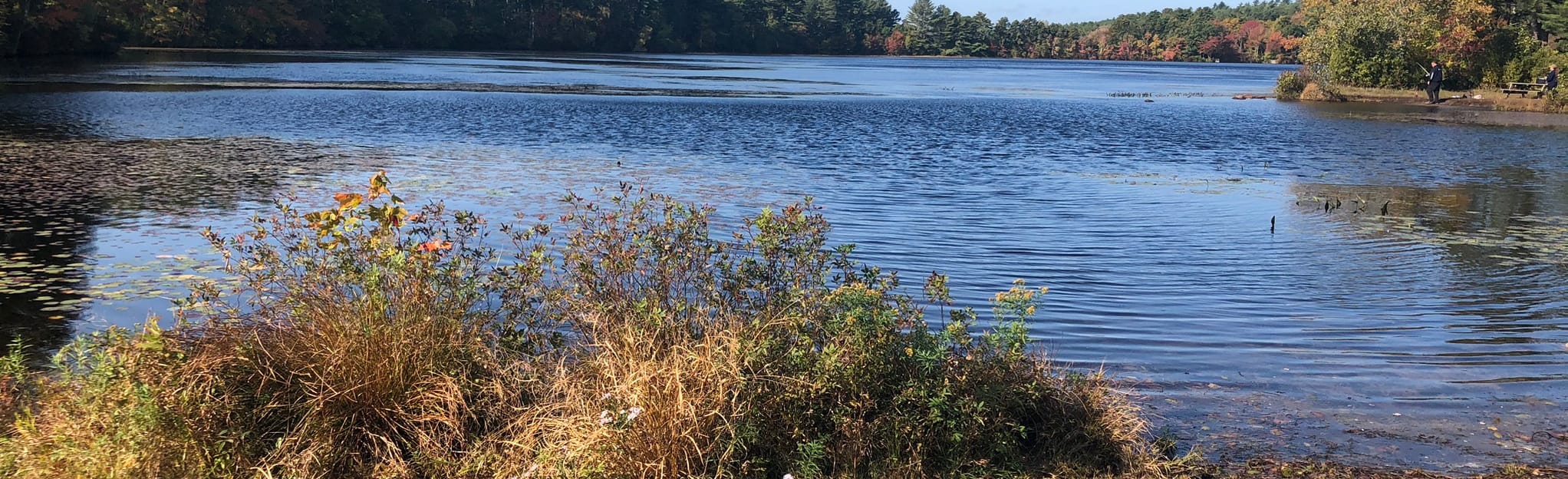 Arcadia Trail: 174 Reviews, Map - Rhode Island | AllTrails