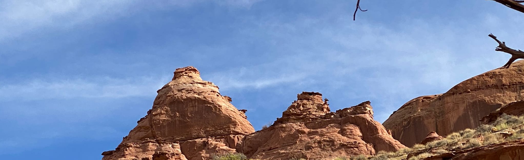 Larry Canyon and Dirty Devil River, Utah - 2 Reviews, Map | AllTrails