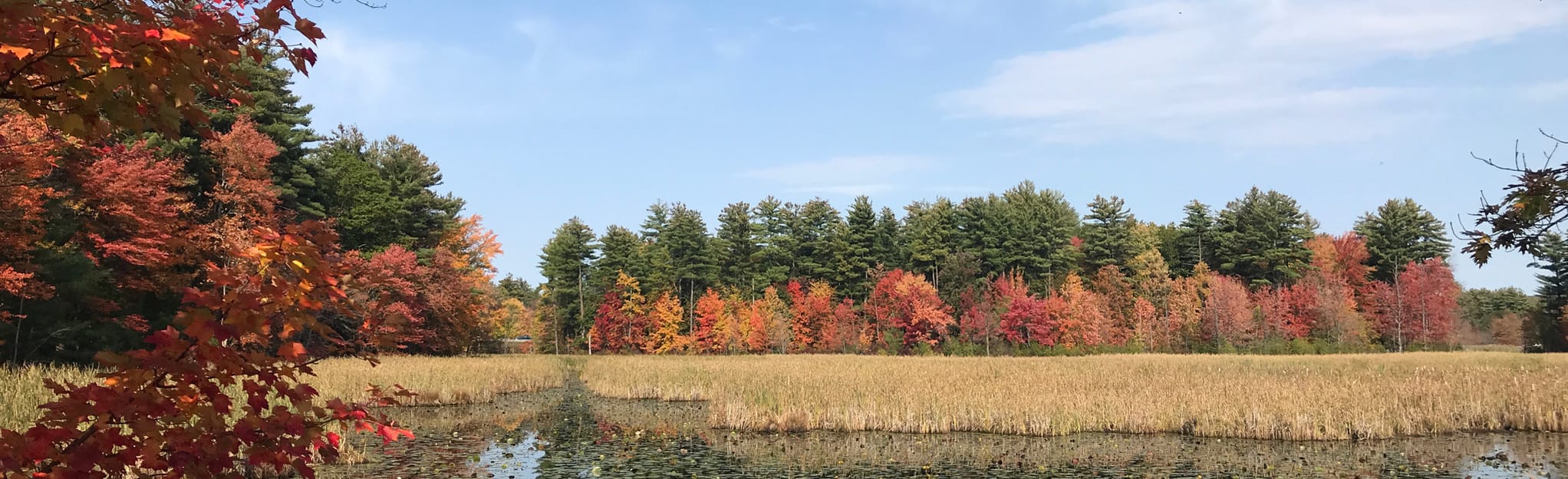 Rockingham Recreational Rail Trail, New Hampshire - 180 Reviews, Map ...