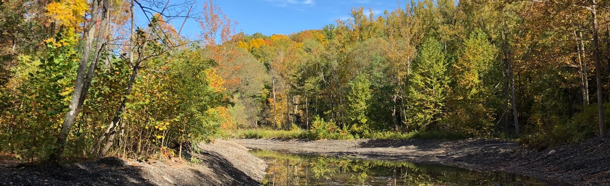 Lake Treman Loop via Gorge, Bear, and Rim Trail: 1,474 Reviews, Map ...