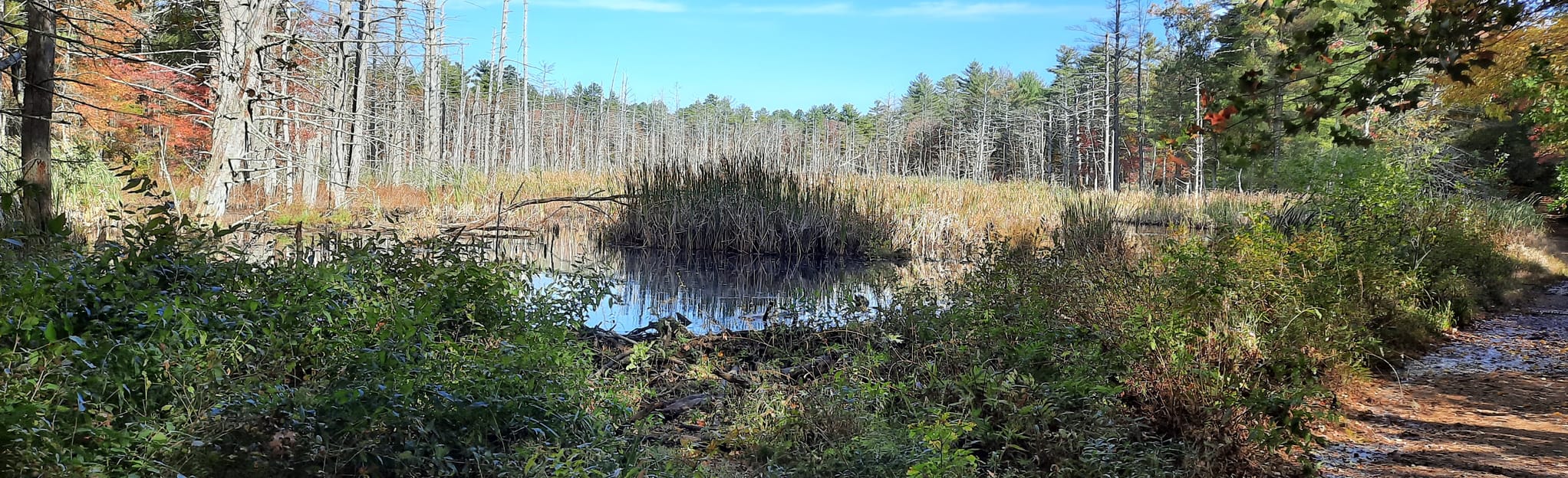 New London Turnpike, Rhode Island - 396 Reviews, Map | AllTrails